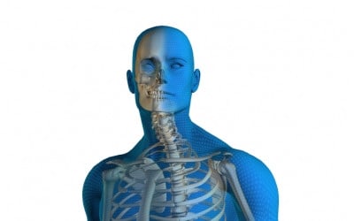 Skeletal Injuries